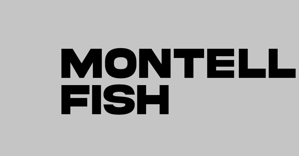 Montell Fish in Japan - Tickets & Event Information