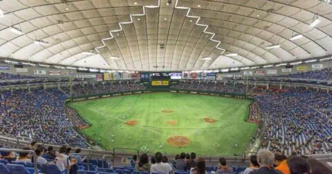 Yomiuri Giants vs Hanshin Tigers, 24 May 2026 - Tickets & Event Details